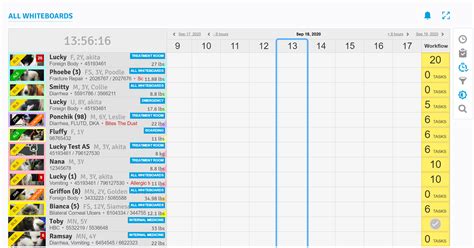 What Is A Whiteboard Account And How Should I Use It Idexx Smartflow Support