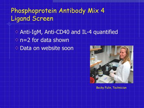 Ppt Antibody Lab B Cell Ligand Screen Powerpoint Presentation Free