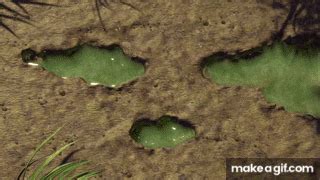 Shrek All Star Intro Hd 1080p On Make A 
