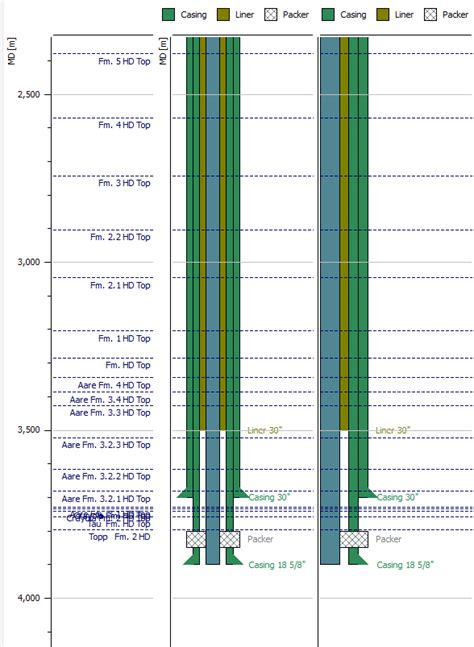 Well Log Plots Resinsight