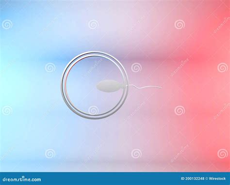Illustration Of An Ovum Fertilization By Sperm 3d Perfect For