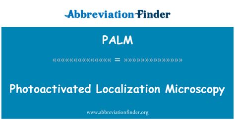 คำจำกัดความของ Palm Microscopy แปล Photoactivated Photoactivated Localization Microscopy