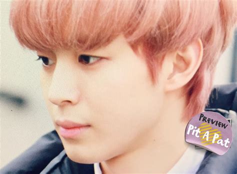 분홍색 머리 빅스 홍빈 인스티즈instiz 이슈 카테고리