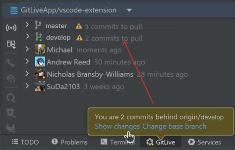 get notified when there are commits to pull in intellij dev community