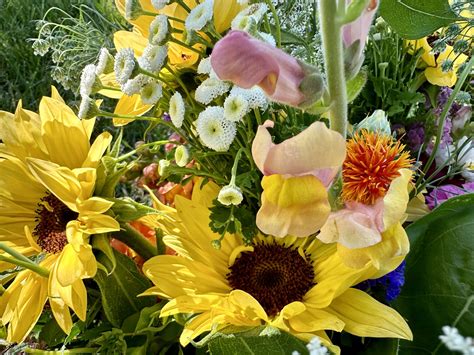 Farm Fresh Bouquets Farm Happenings At Lazy Eight Stock Farm Harvie