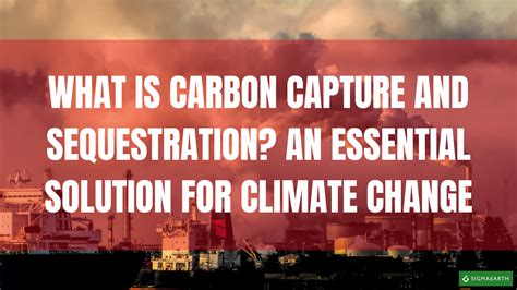 What Is Carbon Capture And Sequestration An Essential Solution For