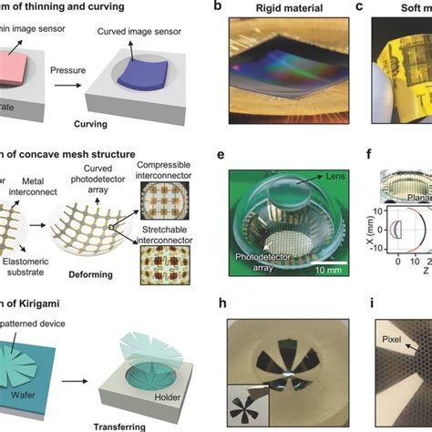 Pdf Bioinspired Artificial Eyes Optic Components Digital Cameras