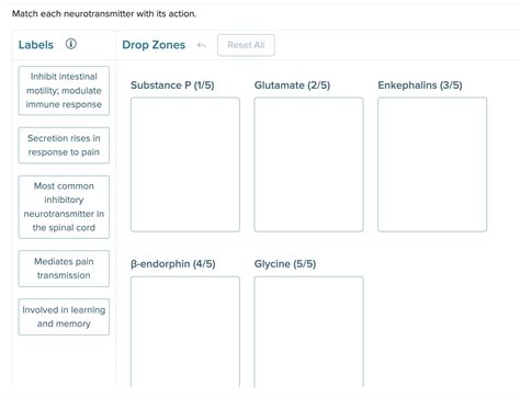 Solved Match Each Neurotransmitter With Its Action