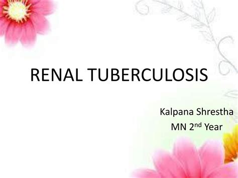 Solution Renal Tuberculosis Studypool