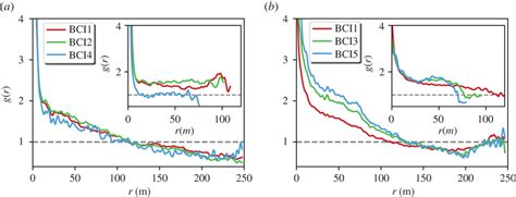 density correlation for contracting species a pair correlation