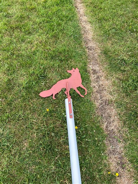 Bedlinog Rfc Home Facebook