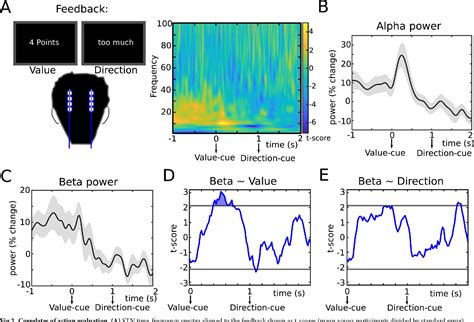 Figure 2 From Dynamic Modulation Of Subthalamic Nucleus Activity Facilitates Adaptive Behavior