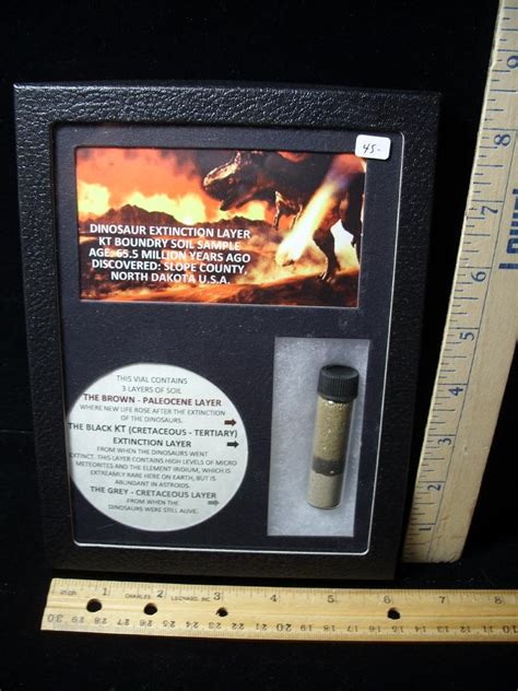 Preserved K T Boundary Layer Sample 071822c The Stones Bones Collection