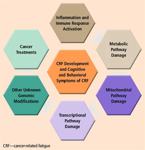 Conceptual Map Of Crf Development And Symptoms Download Scientific Diagram