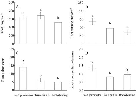 Differences In The Root Length A Root Surface Area B Root Volume Download Scientific