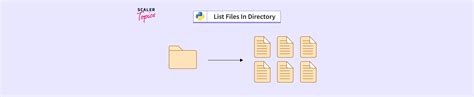Program To List Files In Directory Python Scaler Topics