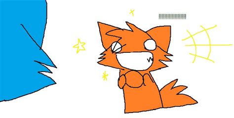 Warriors Kitty On Tumblr