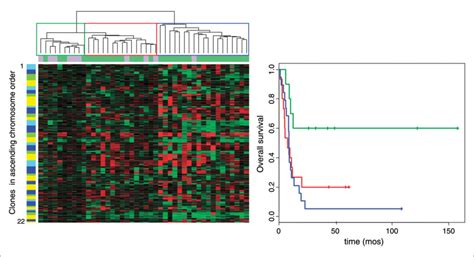 Unsupervised Hierarchical Clustering Of Muscle Invasive Bladder Tumors