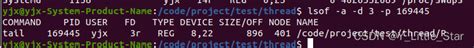 Linux下lsof命令的用法linux的lsof命令用法 Csdn博客