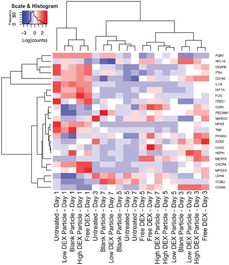 Figure 2 From Modulation Of Macrophage Phenotype Via Phagocytosis Of Drug Loaded Microparticles