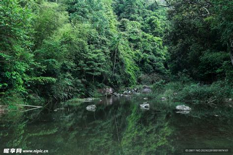 绿色 摄影图自然风景旅游摄影摄影图库昵图网