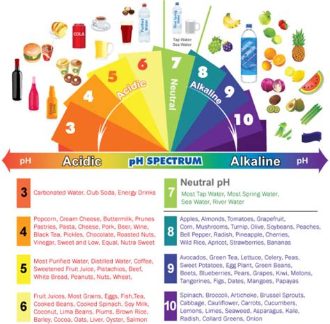 Alkaline acidic foods chart understanding the ph spectrum – Artofit