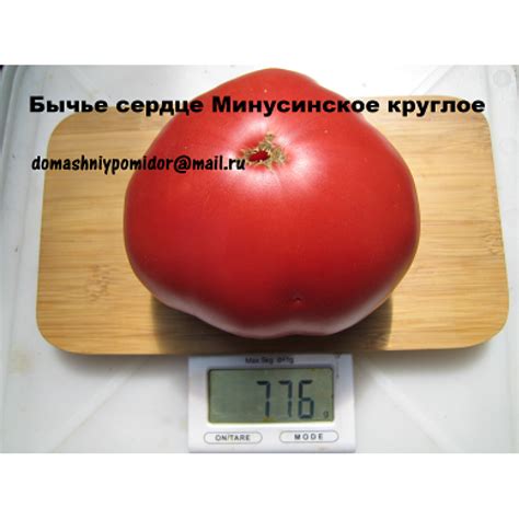 Бычье сердце Минусинское круглое