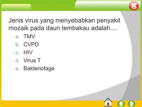 VIRUS PptxVIRUS Pptx VIRUS Pptx VIRUS Pptx