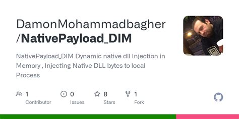 Github Damonmohammadbaghernativepayloaddim Nativepayloaddim