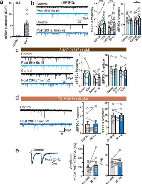 Mch Enhances Excitatory Transmission In Dls To Lha Projecting Neurons Download Scientific