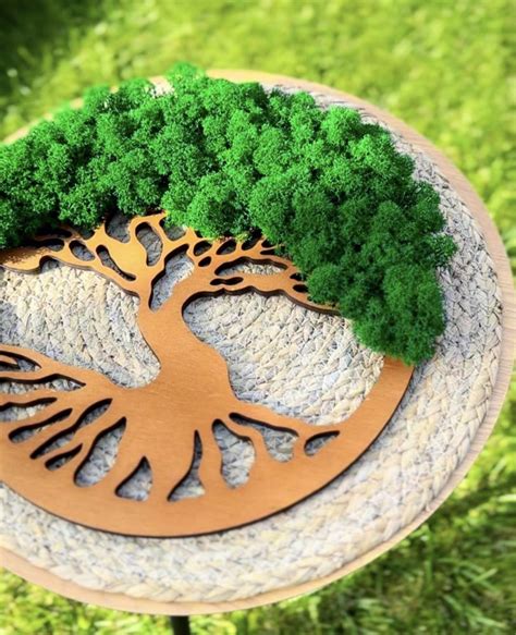 Стабілізований мох кашпо з мохом еко декор для дому мох 790 грн Кімнатні рослини Самбір