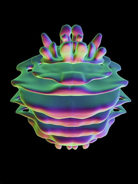 Golgi Apparatus Photograph By Alfred Pasiekascience Photo Library
