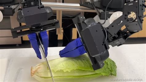 Conoce A Aloha El Robot De Google Que Prepara Cualquier Comida Para El Humano Infobae