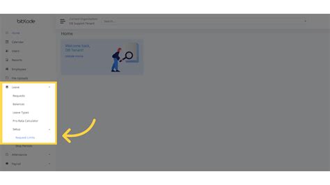 How Can I Set Team Requests Limits Bitkode