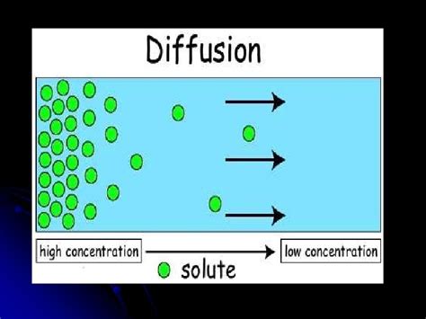 Chapter 6 2 Water And Diffusion Waters Importance