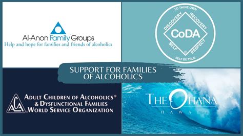 Codependency And Alcoholism A Guide For Families And Partners