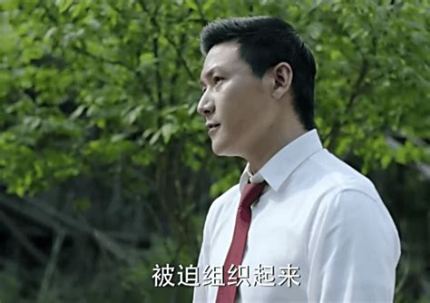 祁同伟壁纸祁同伟图片祁同伟的第7页大山谷图库