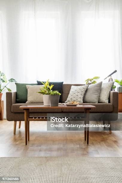 밝은 거실 인테리어에 베개로 소파 앞 나무 테이블에 노란 꽃 실제 사진 0명에 대한 스톡 사진 및 기타 이미지 0명 가구 가정 생활 Istock