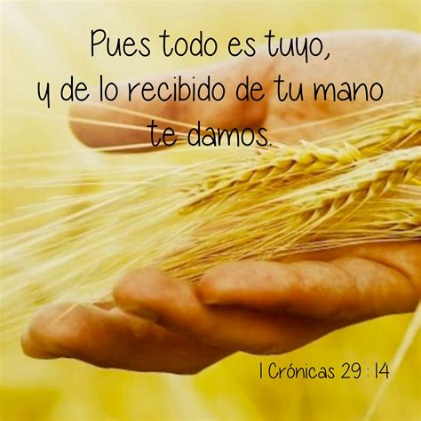 10 Ideas De Bienvenidos A La Casa De Dios Frases De Bienvenida