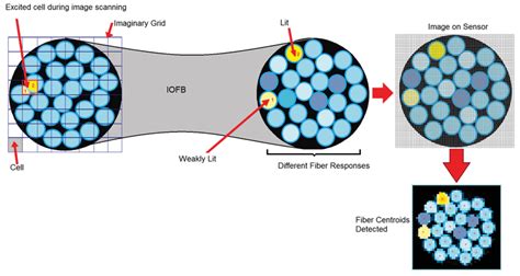 Differential Binary Encoding Method For Calibrating Image Sensors Based