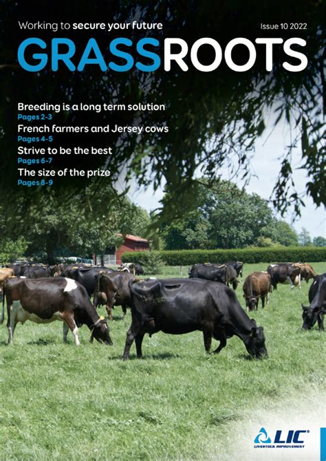 Grassroots Lic Uk Dairy Farming Seasonal Newsletter