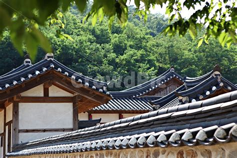 기와집 전통집 한옥 집 옛날집 사진 이미지 일러스트 캘리그라피 함께사는세상작가