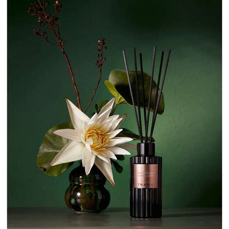 Thann Diffuser ถูกที่สุด พร้อมโปรโมชั่น ธค 2024biggoเช็คราคาง่ายๆ