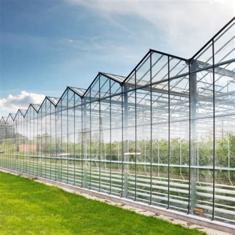 Venlo Greenhouse Glass Greenhouse Tomato Greenhouse China Venlo Greenhouse And Glass Greenhouse