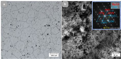 Microstructure And Tem Bright Field Image A Microstructure Image