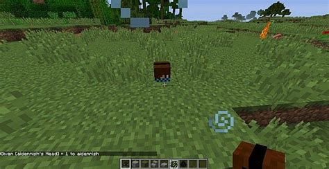 How To Get Player Heads