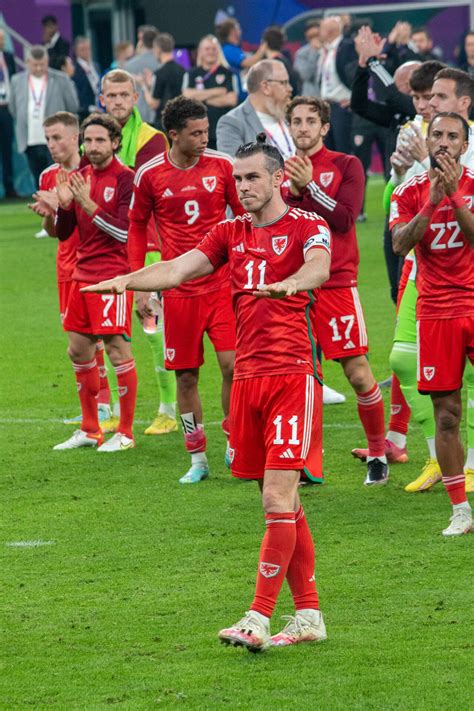 카타르월드컵 행복했다 진짜 포텐 터짐 최신순 에펨코리아