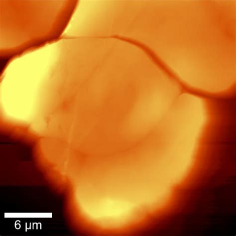 Comprehensive Food Sample Analysis