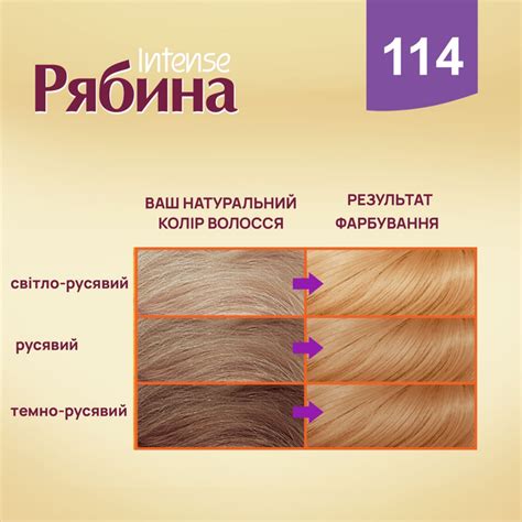 Крем-фарба "ЕКМІ-КОЛОР" Горобина "INTENSE" №114 Карамель – купити ...