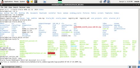 upgrade obiee 11 1 1 9